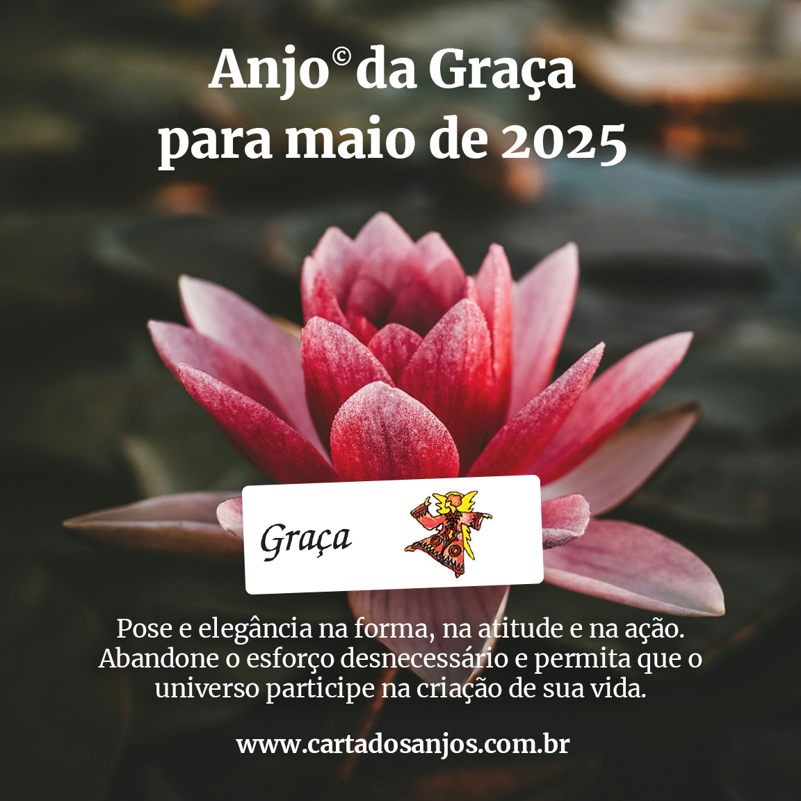 Anjo da Graça - maio - Cartas dos Anjos